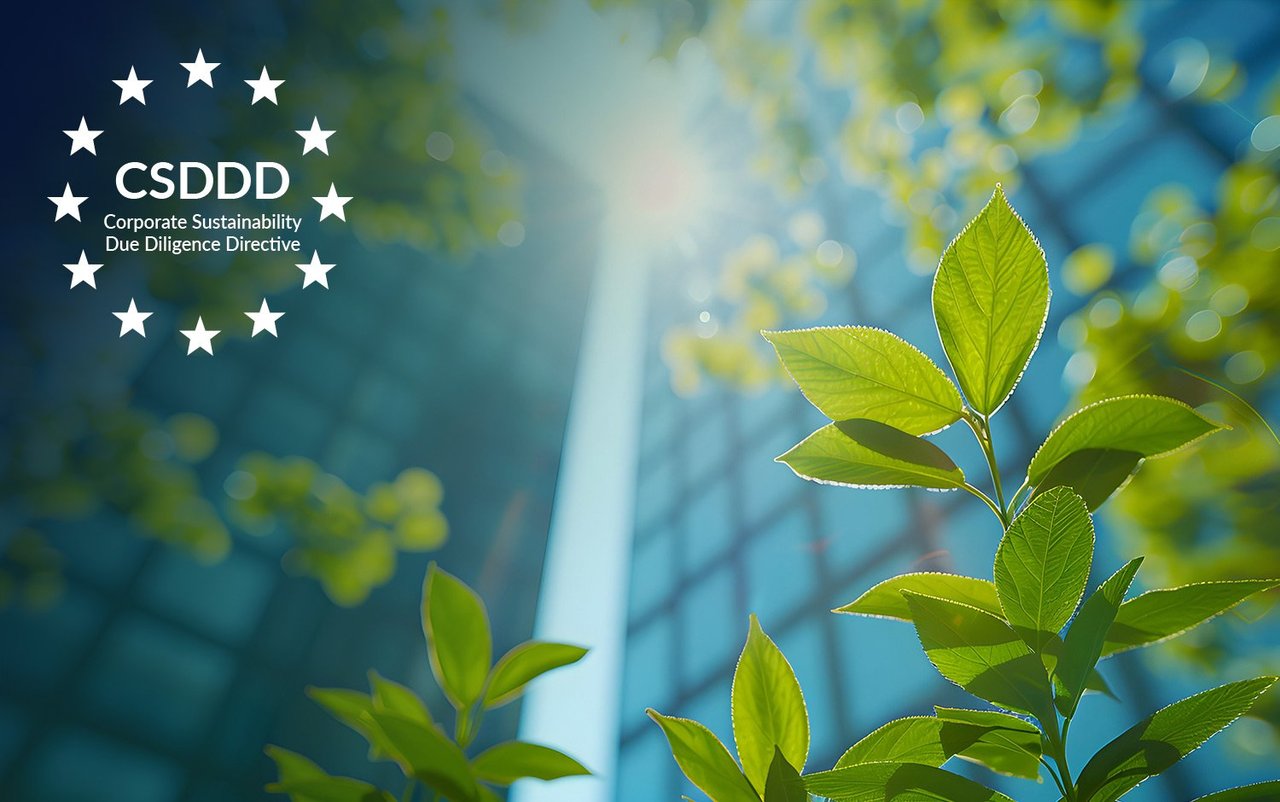 CSDDD: Corporate Sustainability Due Diligence Directive
