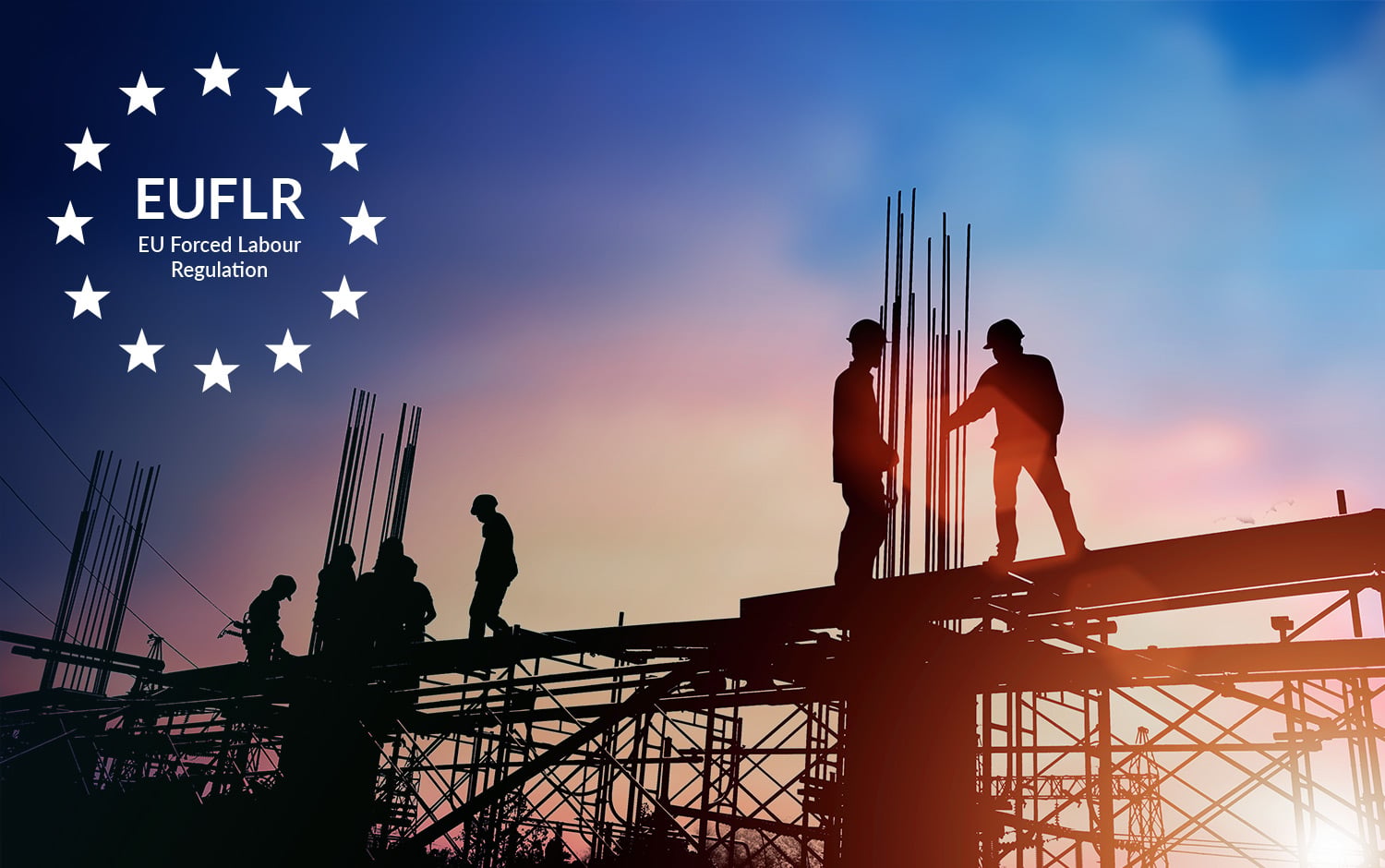 EU Forced Labour Regulation (EUFLR) | Safeguard EU Market Access